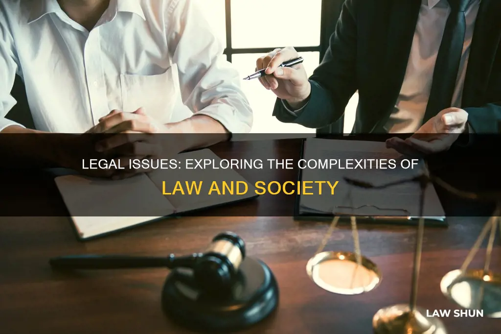 Legal Issues: Exploring The Complexities Of Law And Society | LawShun