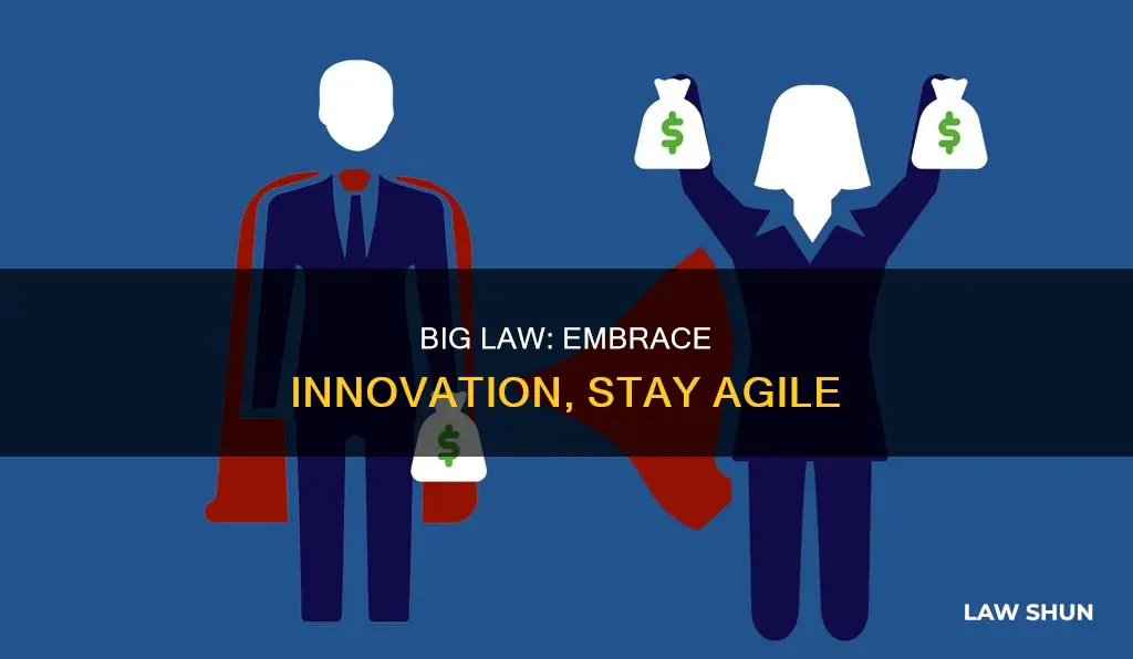 Big Law: Embrace Innovation, Stay Agile | LawShun