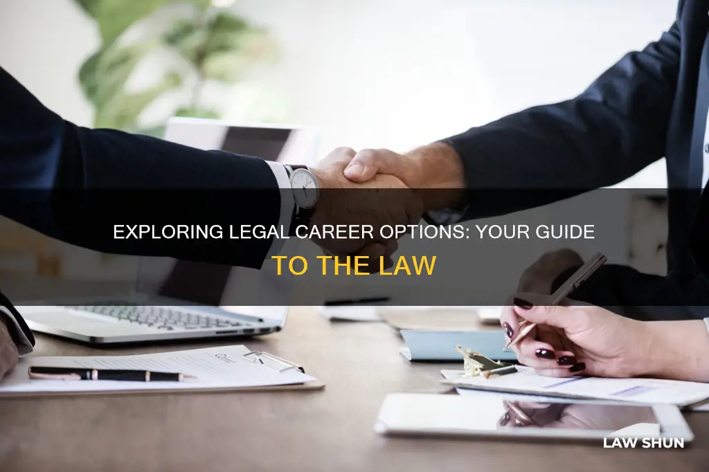 Exploring Legal Career Options: Your Guide To The Law | LawShun