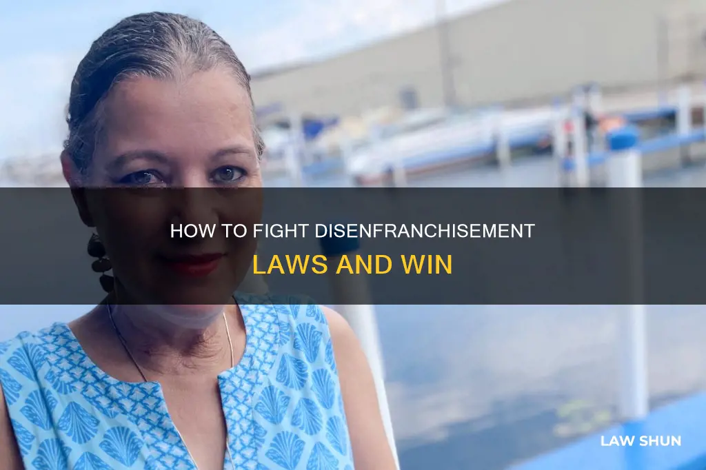 How To Fight Disenfranchisement Laws And Win | LawShun