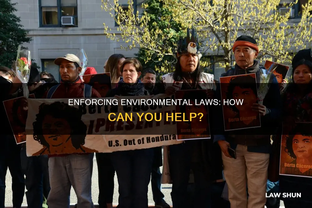 Enforcing Environmental Laws: How Can You Help? | LawShun