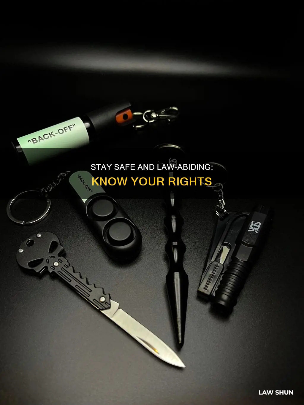 Stay Safe And Law-Abiding: Know Your Rights | LawShun
