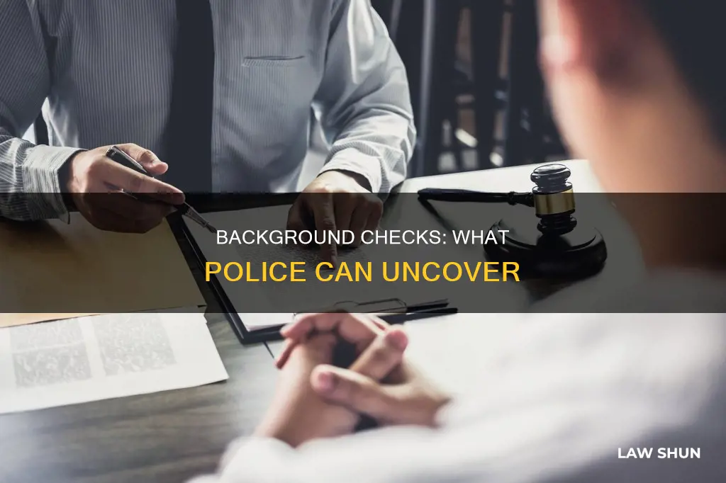 Background Checks: What Police Can Uncover | LawShun