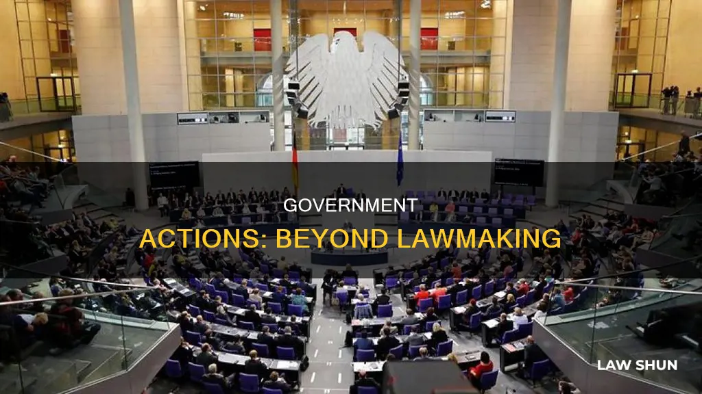 Government Actions: Beyond Lawmaking | LawShun