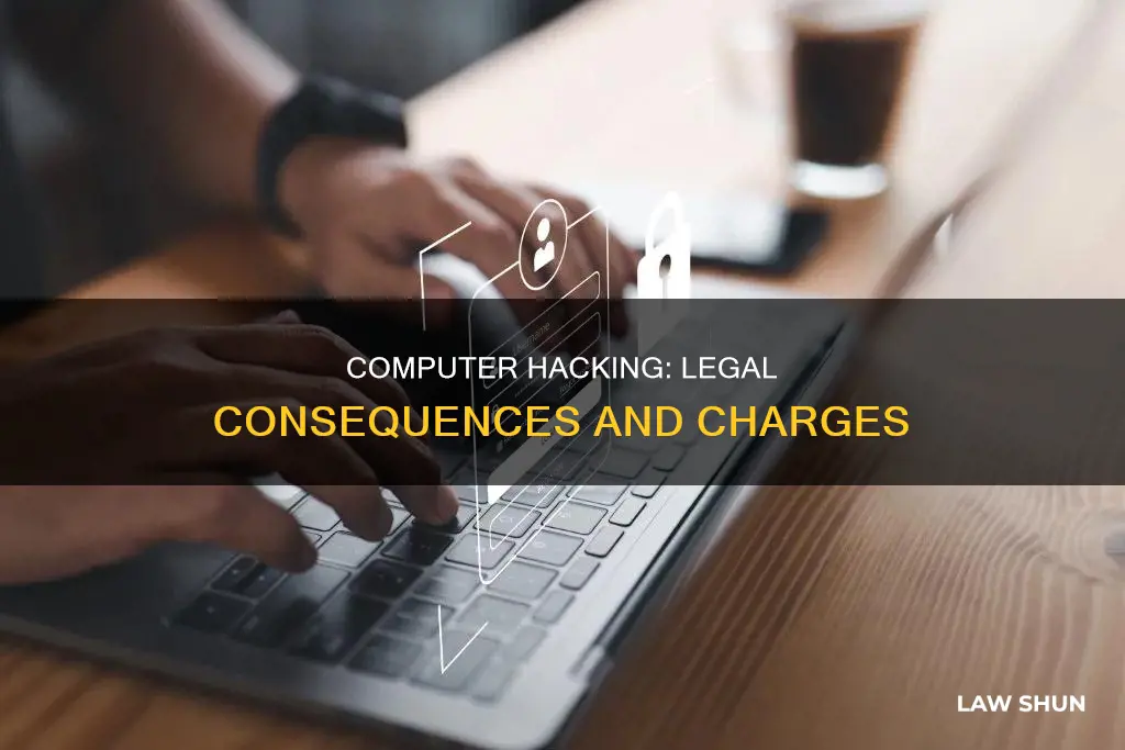 Computer Hacking: Legal Consequences And Charges | LawShun