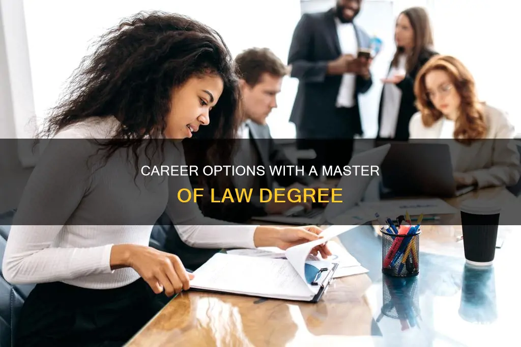 Career Options With A Master Of Law Degree | LawShun