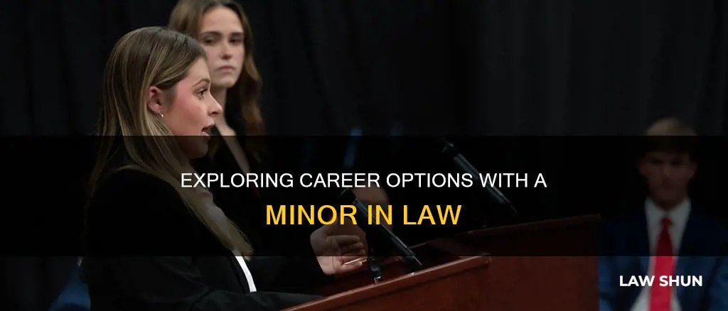 Exploring Career Options With A Minor In Law | LawShun