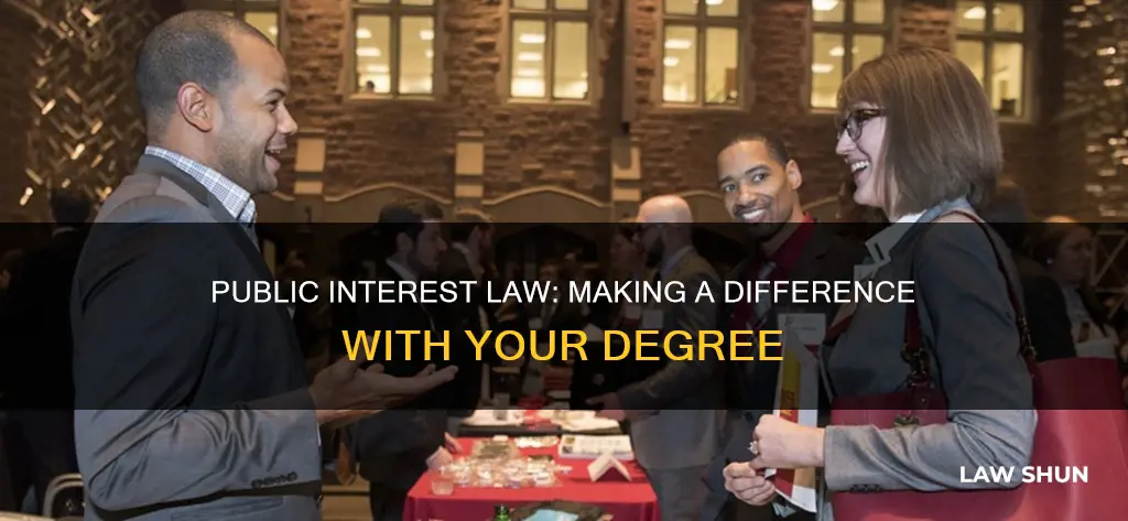 Public Interest Law: Making A Difference With Your Degree | LawShun