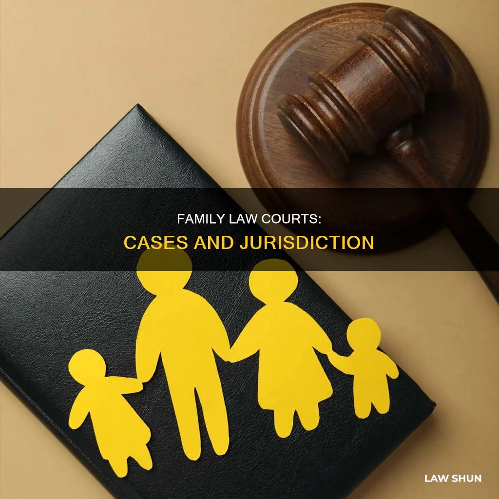 Family Law Courts: Cases And Jurisdiction | LawShun