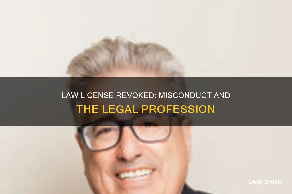 Law License Revoked: Misconduct And The Legal Profession | LawShun