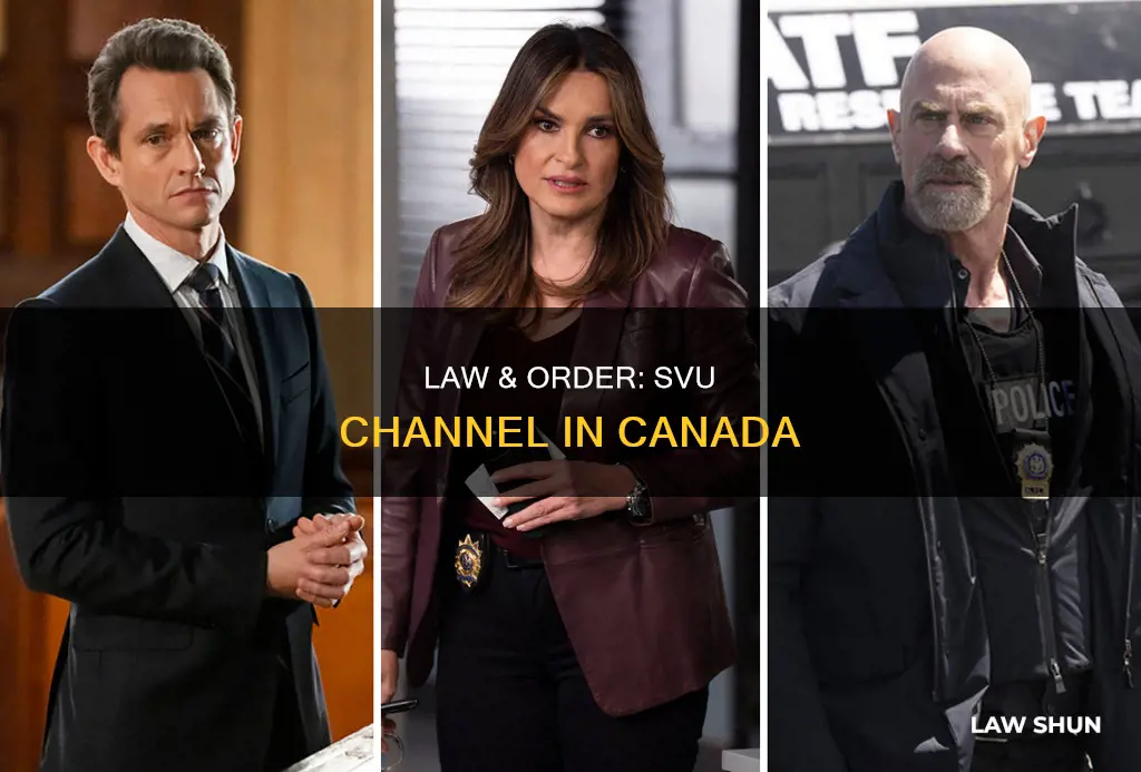 Law & Order: Svu Channel In Canada | LawShun
