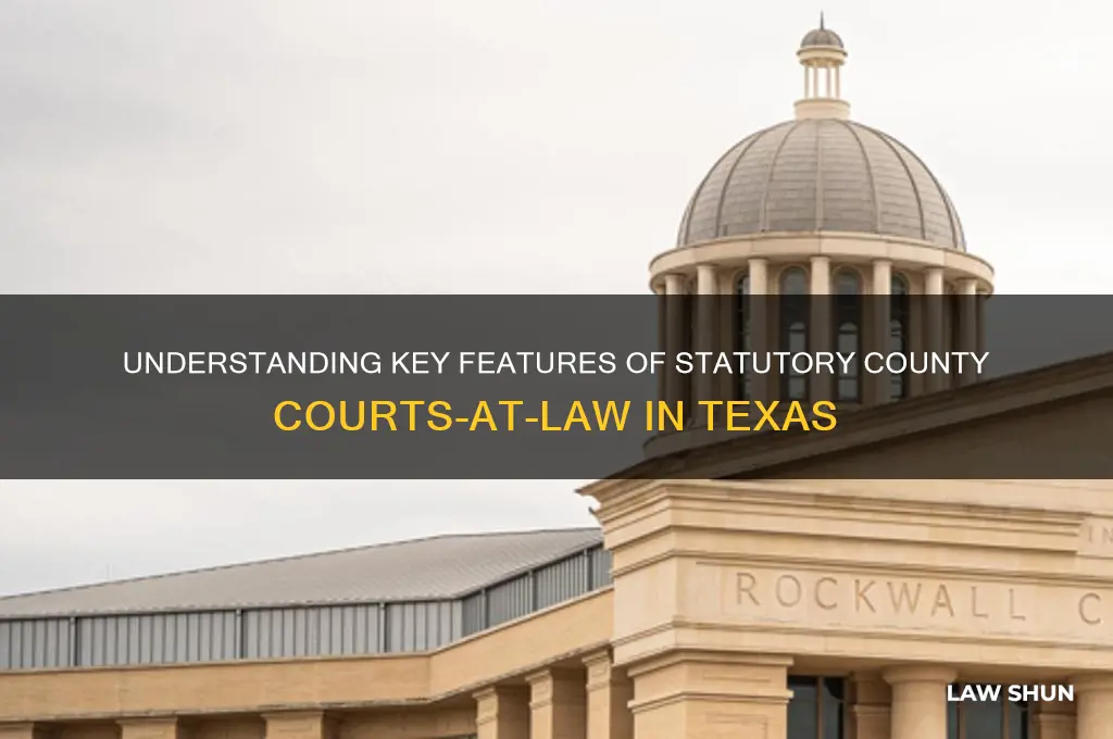 Understanding Key Features Of Statutory County Courts-At-Law In Texas ...