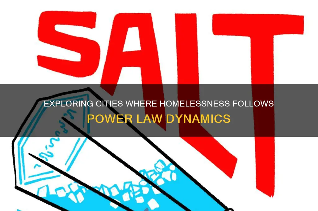 Exploring Cities Where Homelessness Follows Power Law Dynamics | LawShun