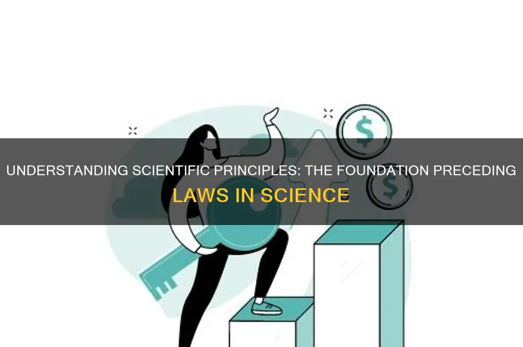 Understanding Scientific Principles: The Foundation Preceding Laws In ...