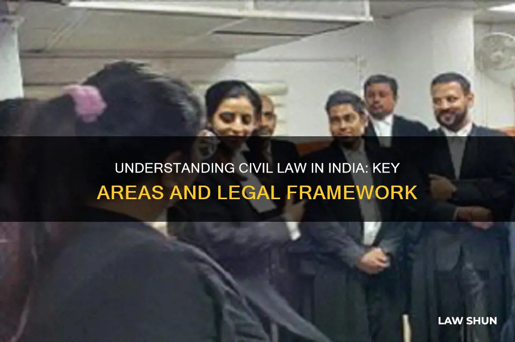 Understanding Civil Law In India: Key Areas And Legal Framework | LawShun