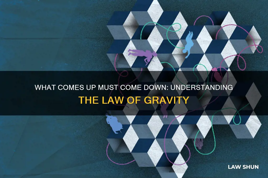 What Comes Up Must Come Down: Understanding The Law Of Gravity | LawShun