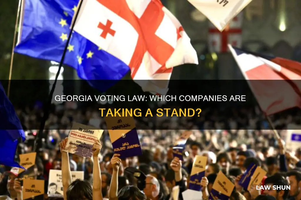 Georgia Voting Law: Which Companies Are Taking A Stand? | LawShun