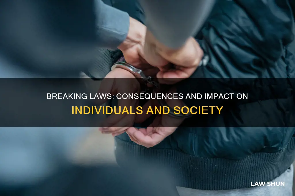 Breaking Laws: Consequences And Impact On Individuals And Society | LawShun
