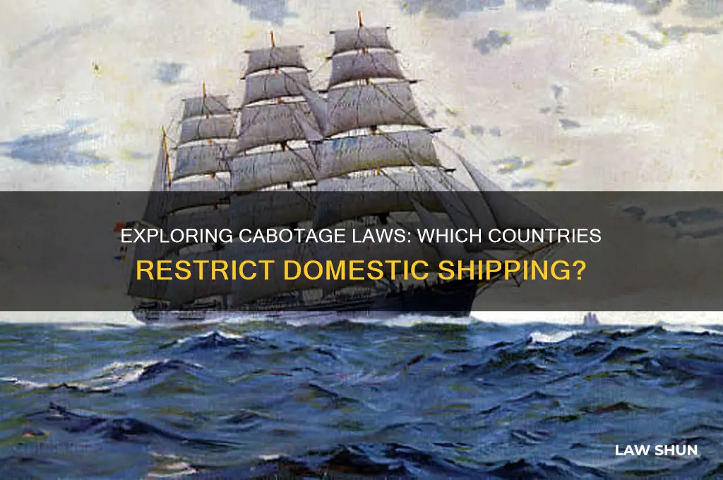 Exploring Cabotage Laws: Which Countries Restrict Domestic Shipping ...