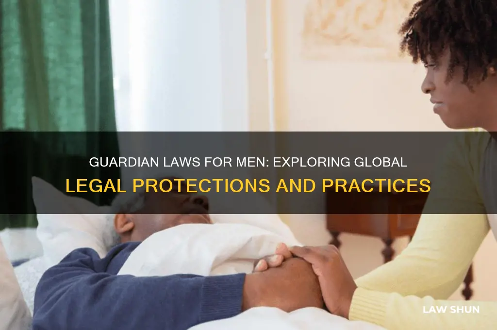 Guardian Laws For Men: Exploring Global Legal Protections And Practices ...