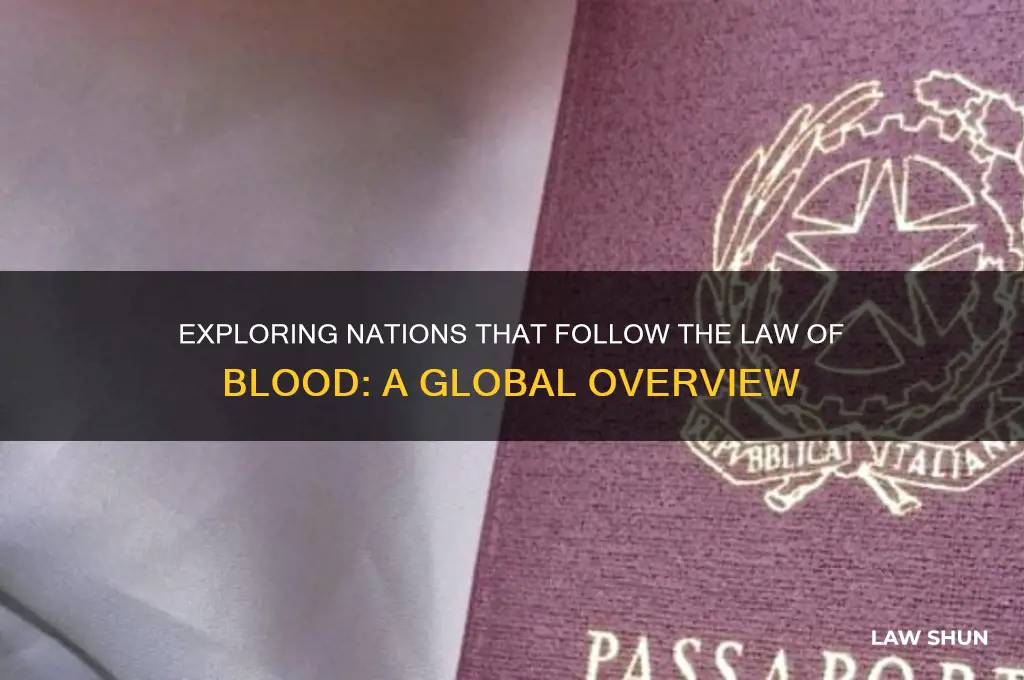 Exploring Nations That Follow The Law Of Blood: A Global Overview | LawShun