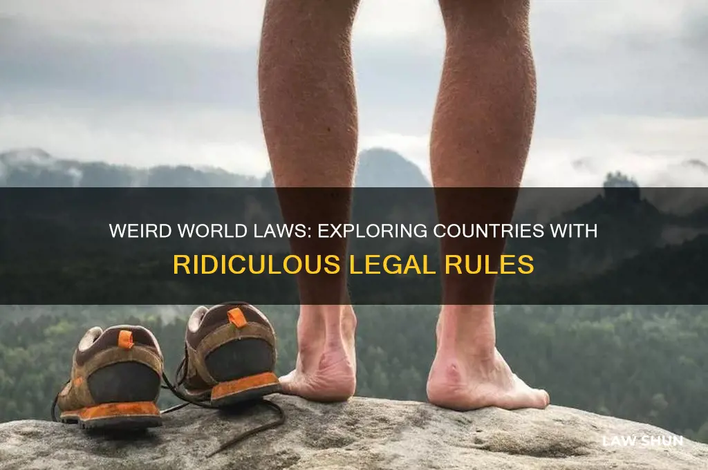 Weird World Laws: Exploring Countries With Ridiculous Legal Rules | LawShun