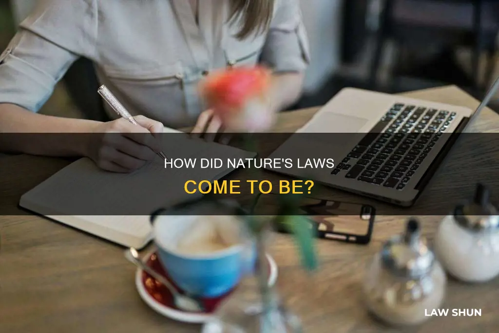 How Did Nature's Laws Come To Be? | LawShun