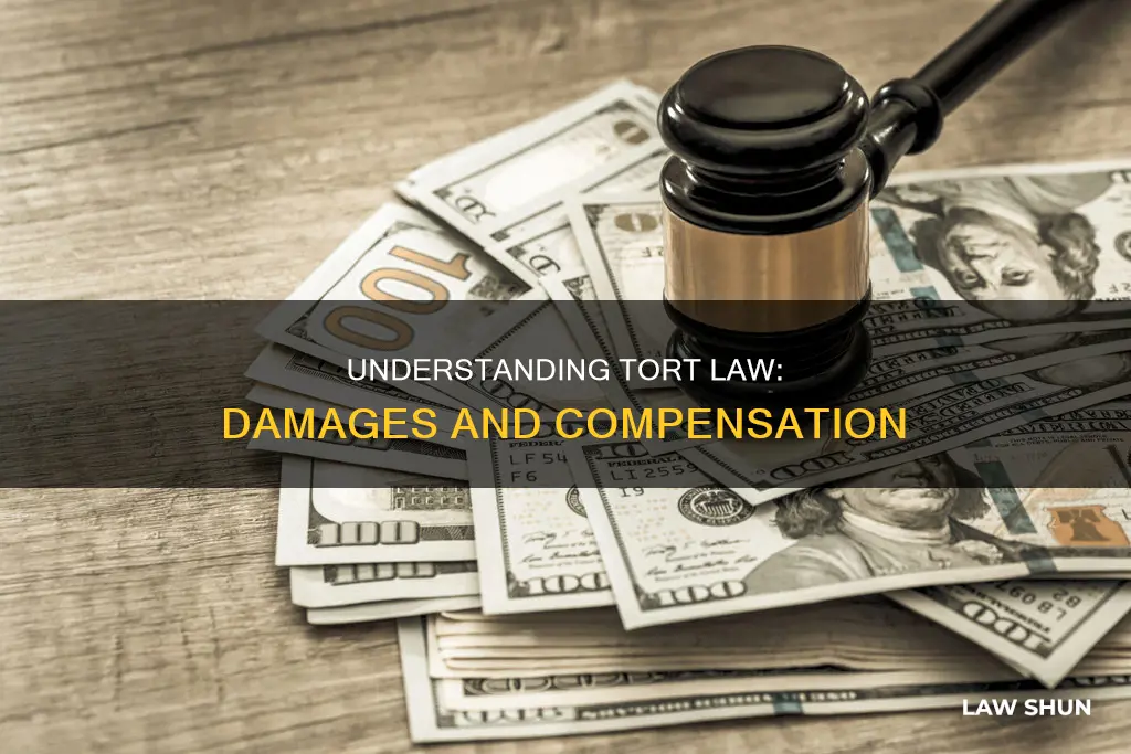 Understanding Tort Law: Damages And Compensation | LawShun