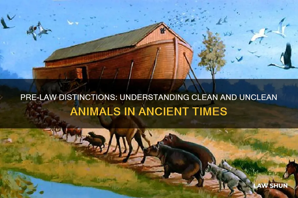 Pre-Law Distinctions: Understanding Clean And Unclean Animals In ...