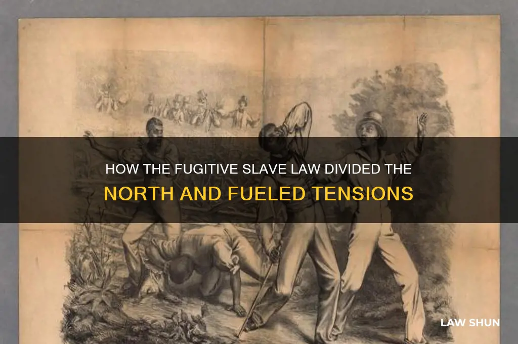 How The Fugitive Slave Law Divided The North And Fueled Tensions | LawShun