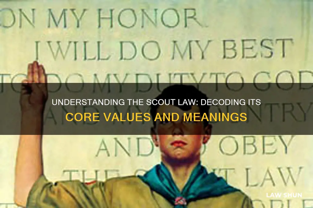 Understanding The Scout Law: Decoding Its Core Values And Meanings ...