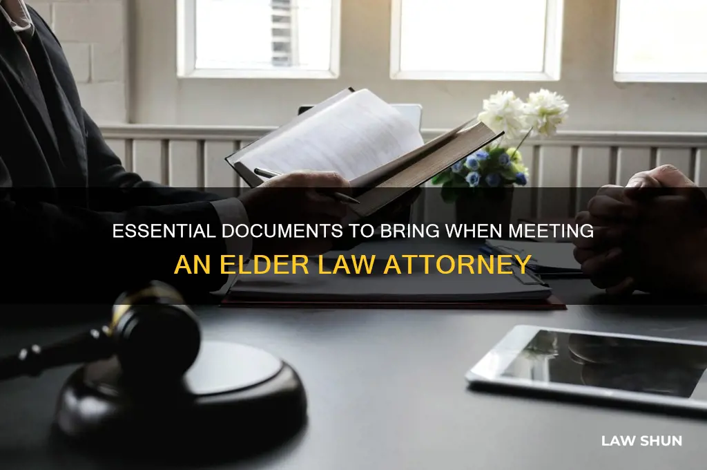 Essential Documents To Bring When Meeting An Elder Law Attorney | LawShun