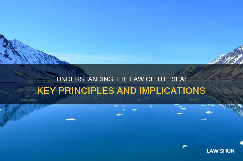Understanding The Law Of The Sea: Key Principles And Implications | LawShun