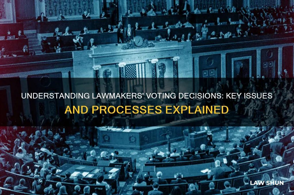 Understanding Lawmakers' Voting Decisions: Key Issues And Processes ...
