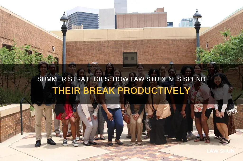 Summer Strategies: How Law Students Spend Their Break Productively ...