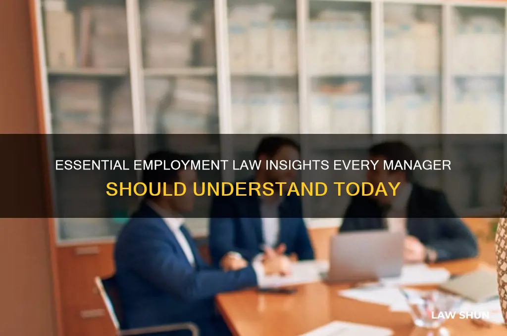 Essential Employment Law Insights Every Manager Should Understand Today ...