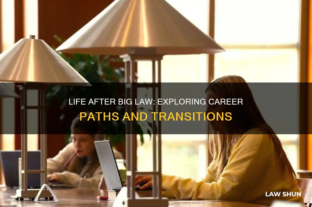 Life After Big Law: Exploring Career Paths And Transitions | LawShun