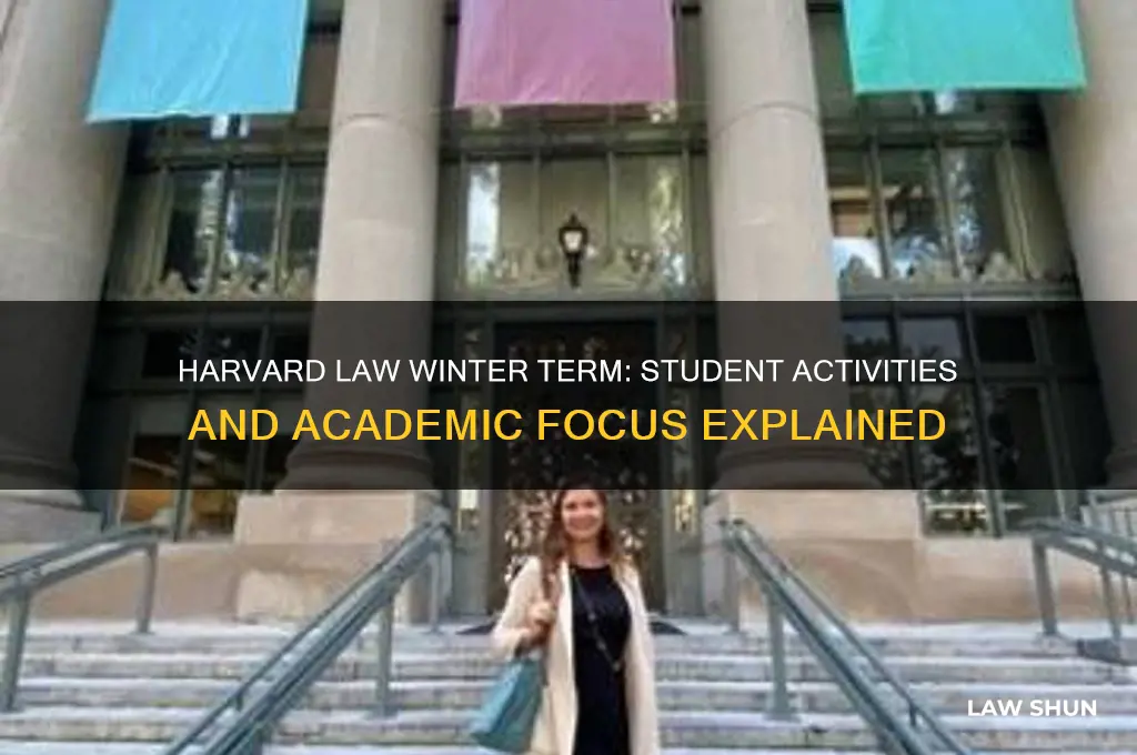 Harvard Law Winter Term: Student Activities And Academic Focus ...