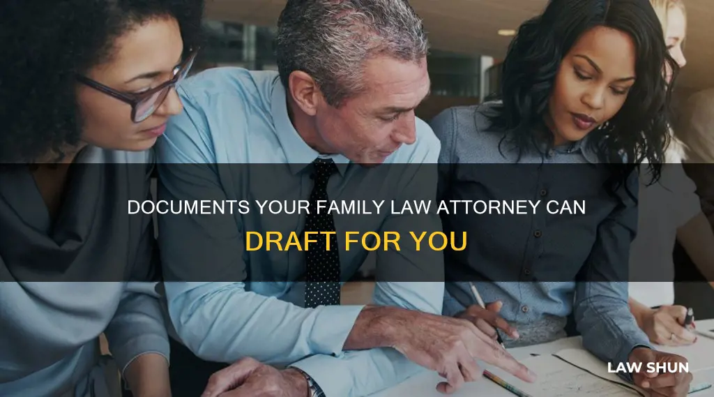 Documents Your Family Law Attorney Can Draft For You | LawShun