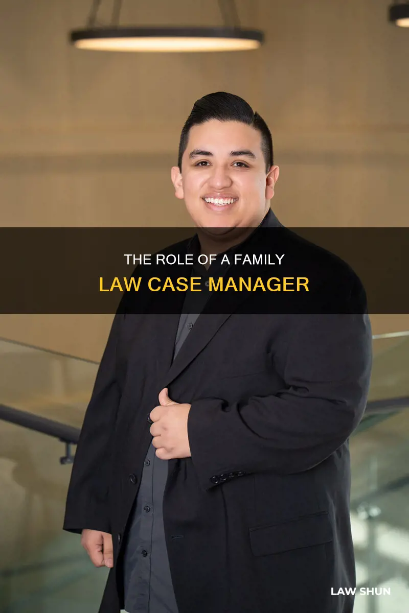 The Role Of A Family Law Case Manager | LawShun