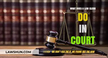 Understanding The Legal Definition And Role Of A Court In Law | LawShun