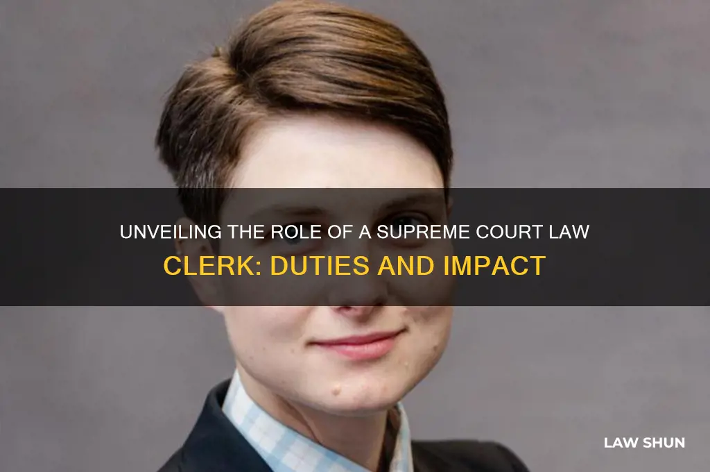 Unveiling The Role Of A Supreme Court Law Clerk: Duties And Impact ...