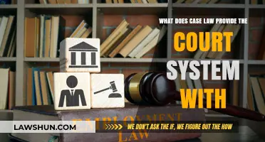Understanding Capital Cases In Law: Definition And Details | LawShun