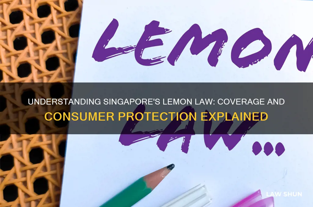 Understanding Singapore's Lemon Law: Coverage And Consumer Protection ...
