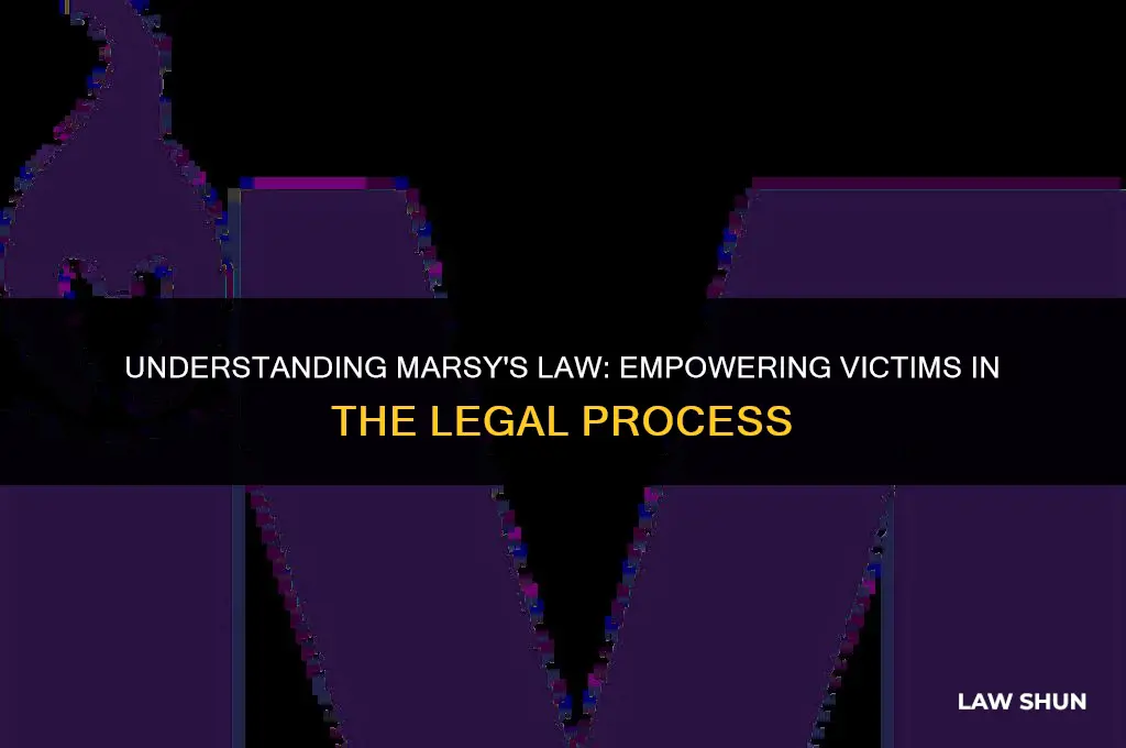 Understanding Marsy's Law: Empowering Victims In The Legal Process ...