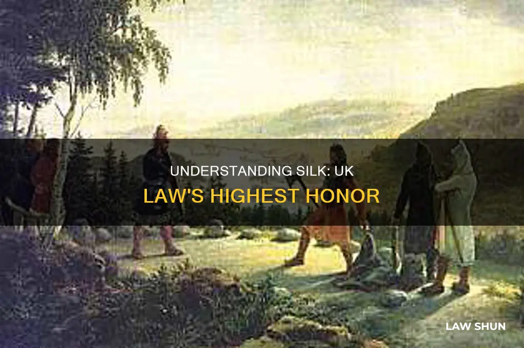Understanding Silk: Uk Law's Highest Honor | LawShun