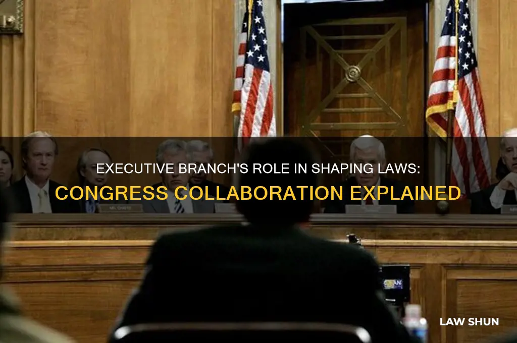 Executive Branch's Role In Shaping Laws: Congress Collaboration ...
