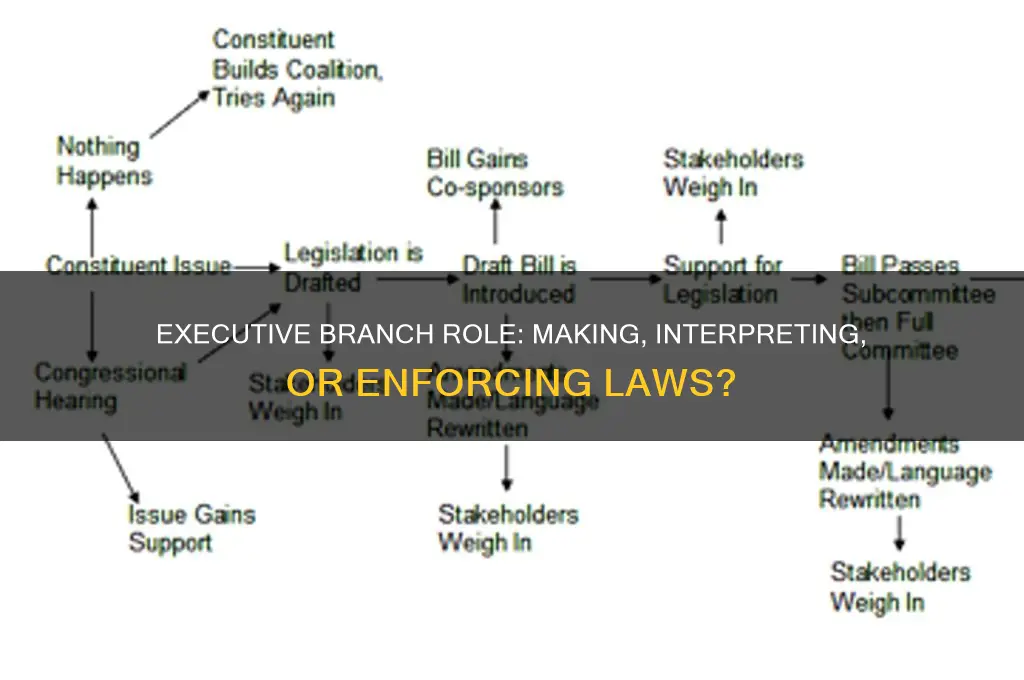 Executive Branch Role: Making, Interpreting, Or Enforcing Laws? | LawShun