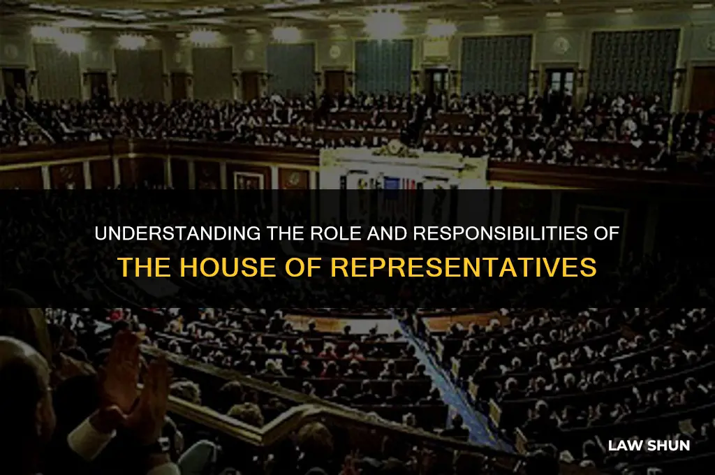 Understanding The Role And Responsibilities Of The House Of ...