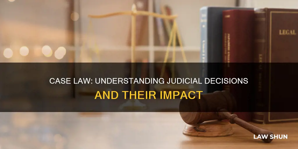 Case Law: Understanding Judicial Decisions And Their Impact | LawShun
